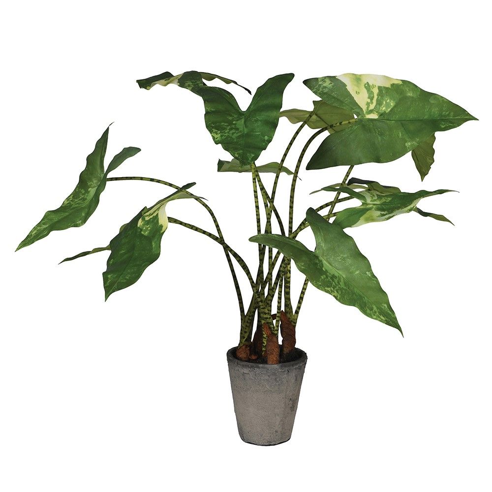 New Accessories| Brand New Luxury Designs | Sweetpea & Willow