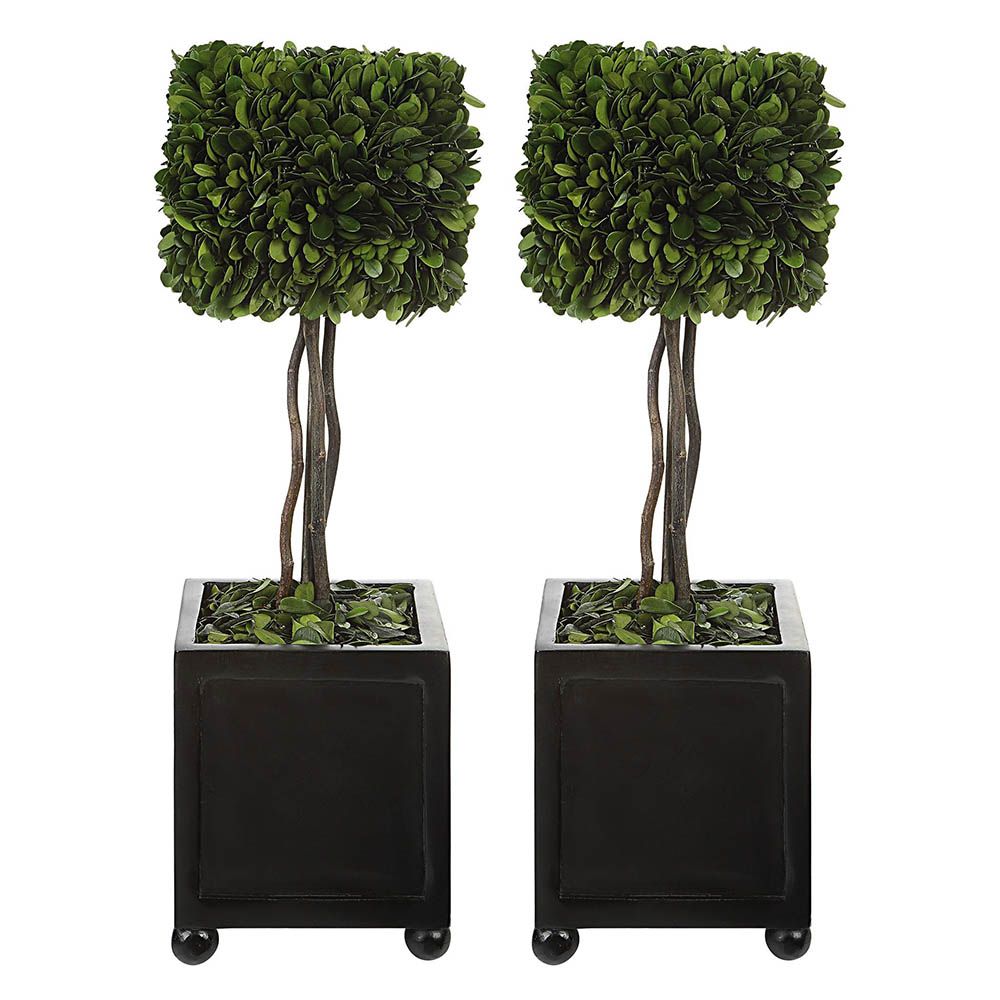 Uttermost Preserved Boxwood Square Topiaries - Set of 2 | Uttermost ...