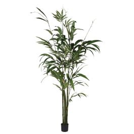 Bamboo Plant - Large | Sweetpea & Willow