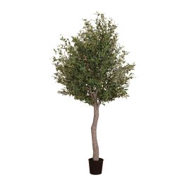 Ola Olive Tree - Large | Artificial Plants | Sweetpea & Willow