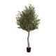 Ola Olive Tree - Large | Artificial Plants | Sweetpea & Willow